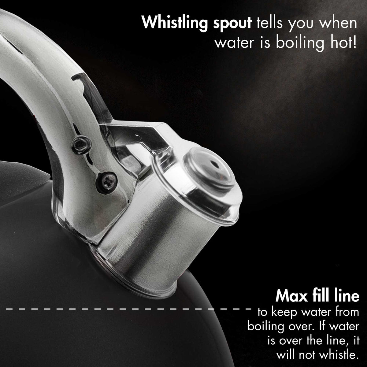 Whistling Kettle, Stainless Steel, Easy-Grip Handle with Spout Trigger